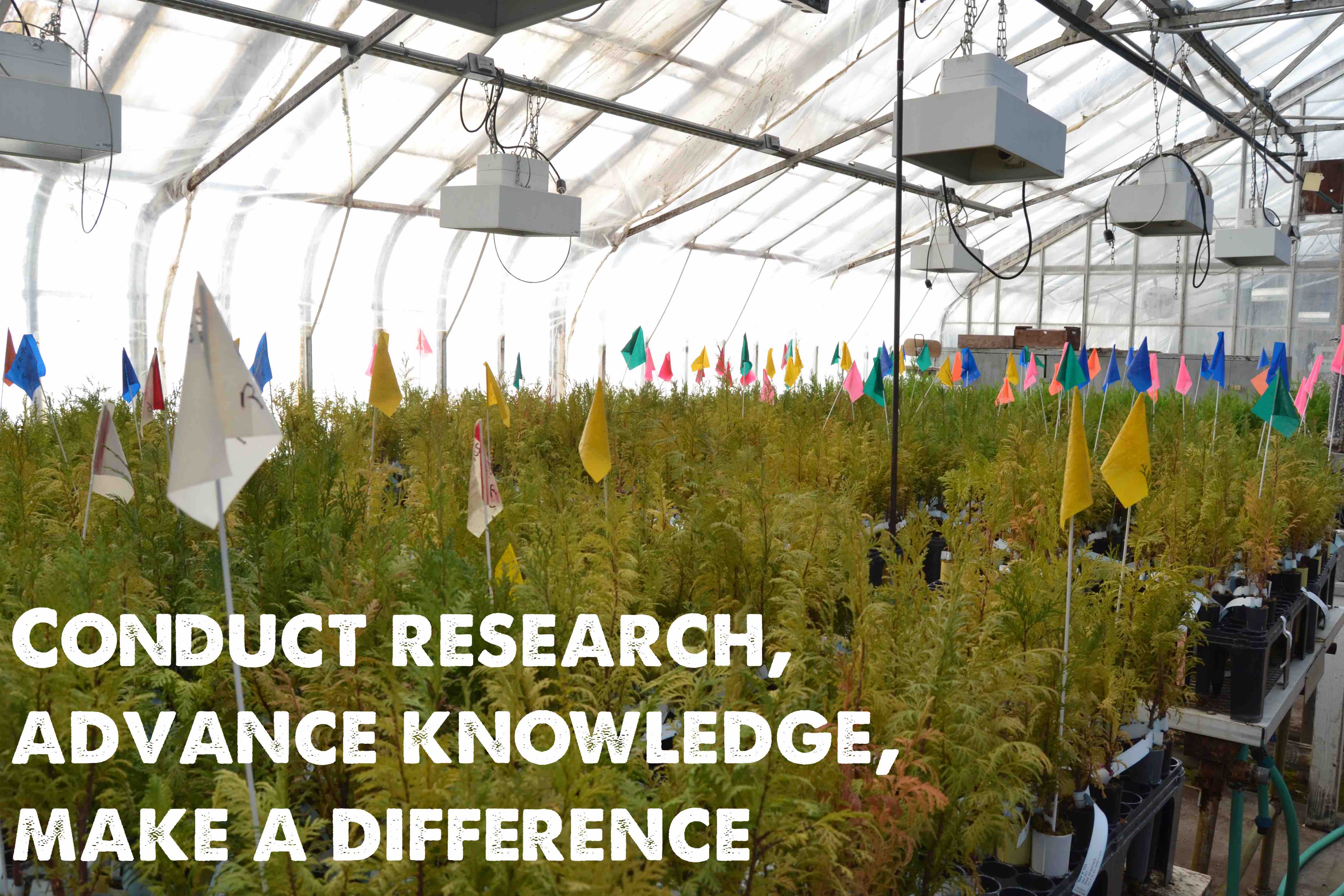 #CitizenScience: Research Experiences to Inspire Passion – SAYAS BLOG