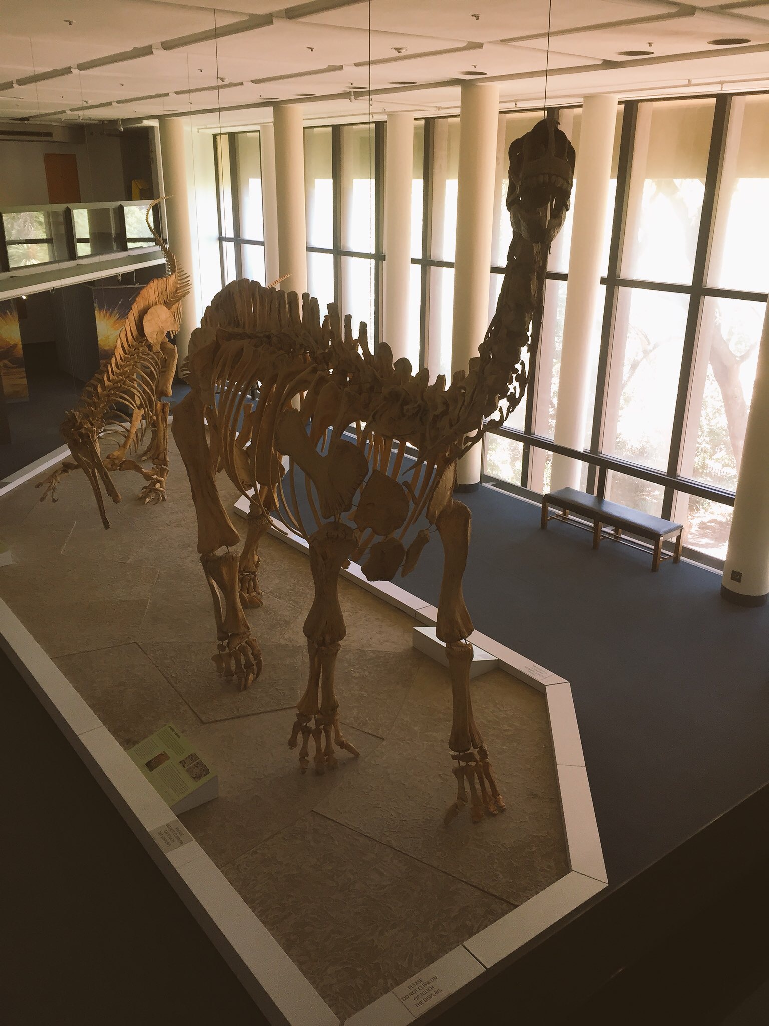 The Magic of Museums – SAYAS BLOG